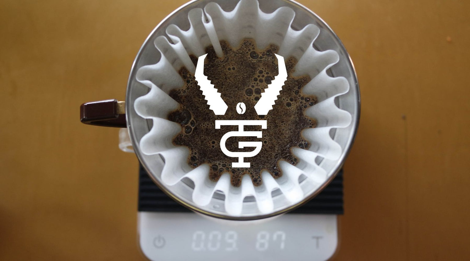 What Is A Coffee Bloom?